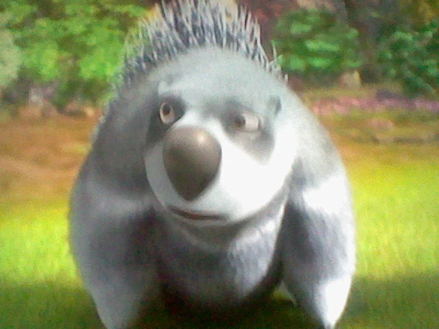 Porcupines | Alpha and Omega Wiki | Fandom