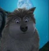 Mooch (Gallery) | Alpha and Omega Wiki | Fandom