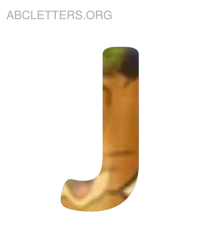 J | Alphabet Letters Wiki | Fandom