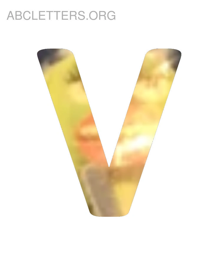 V | Alphabet Letters Wiki | Fandom