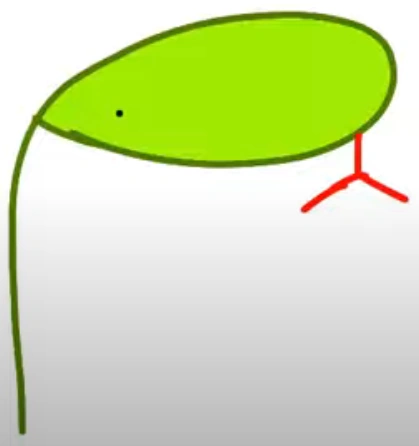 Bobert The Snake | Alphabet Lore Russian Wiki | Fandom