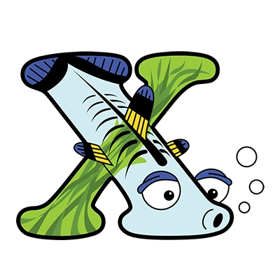 X-Ray Fish | Alphabet Wiki | Fandom