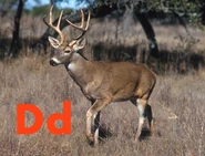 Geoffrey's Animal Alphabet | Alphabet Wiki | Fandom