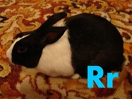 ABC Animals | Alphabet Wiki | Fandom