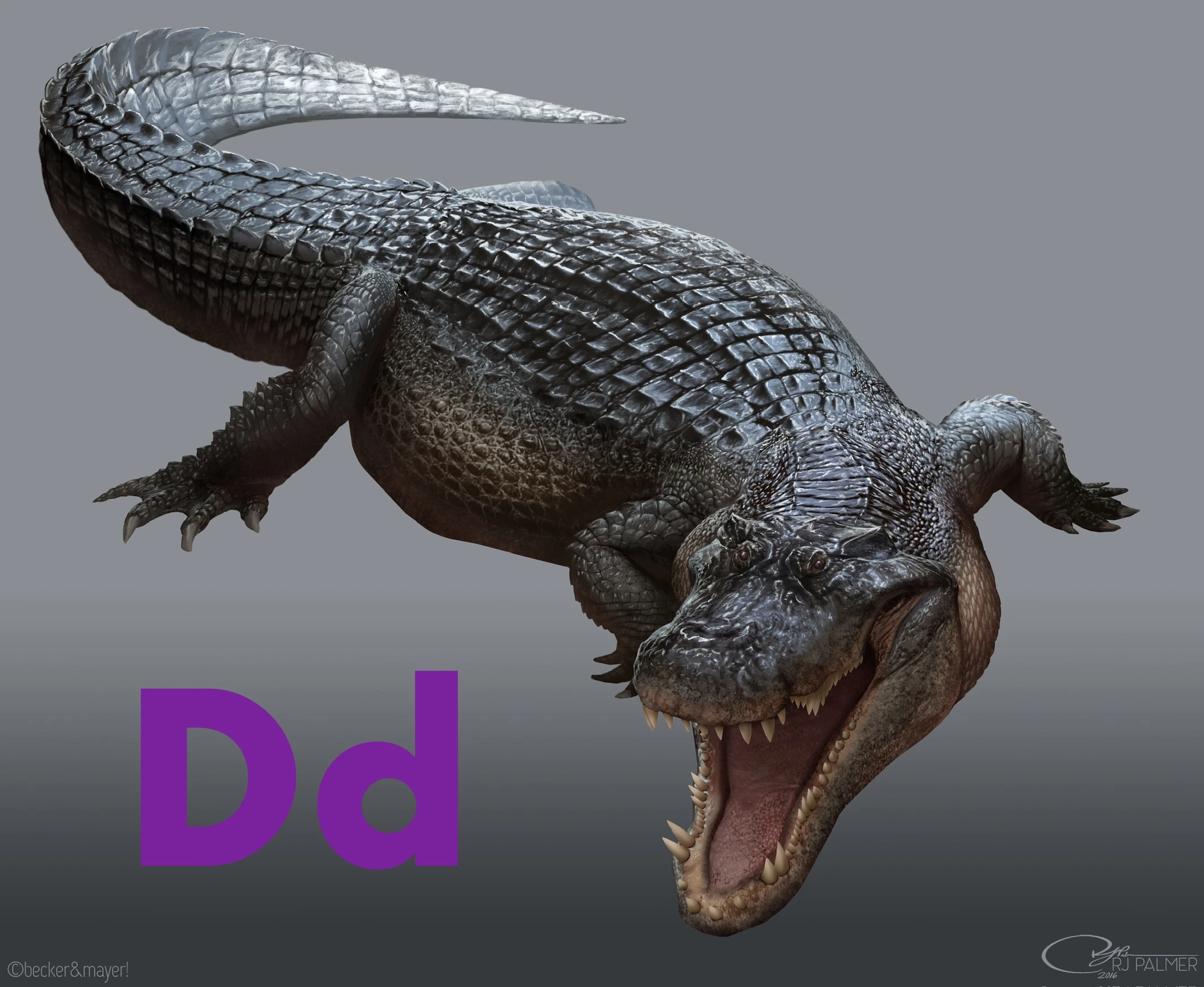 Alphabetimals 19 | Alphabet Wiki | Fandom