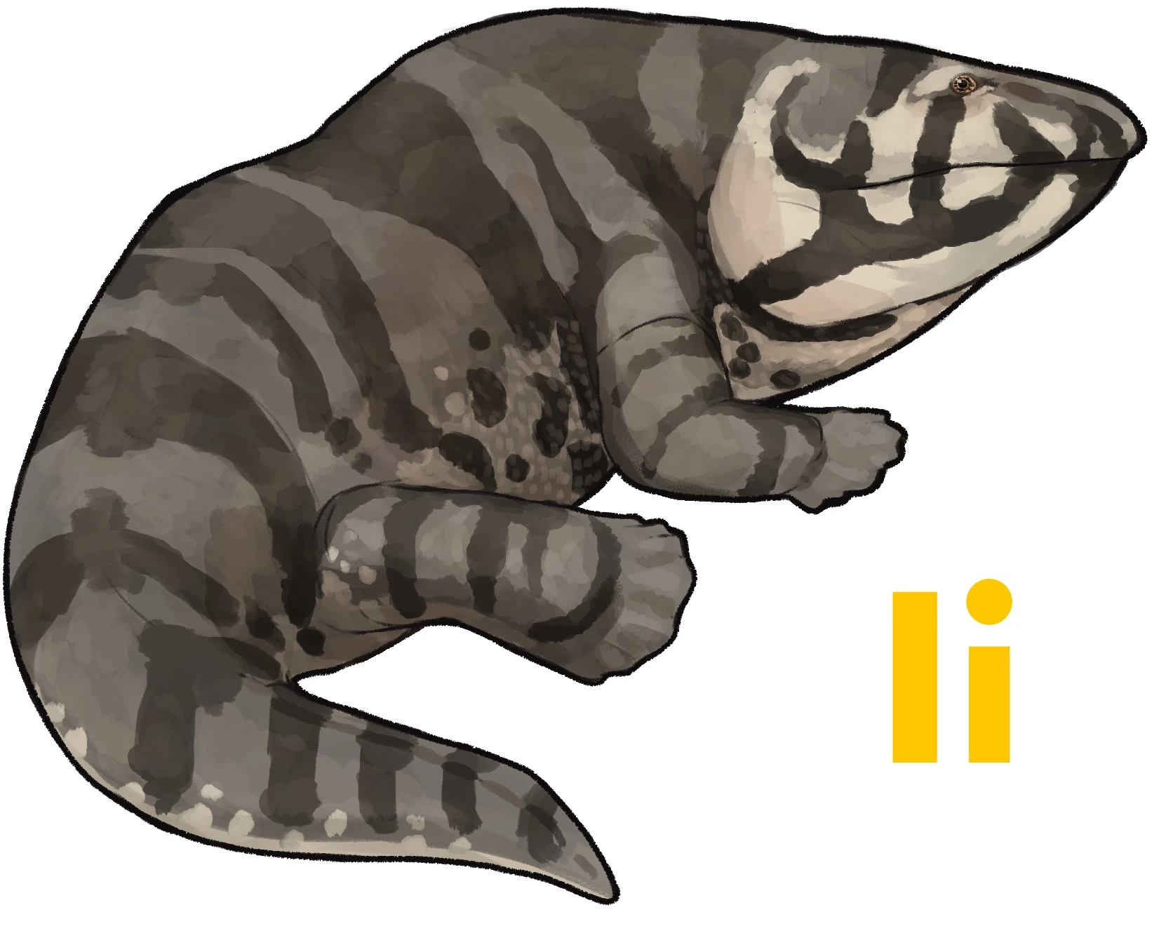 Animal Alphabet 67 (ThomasCarr0806 Version) | Alphabet Wiki | Fandom