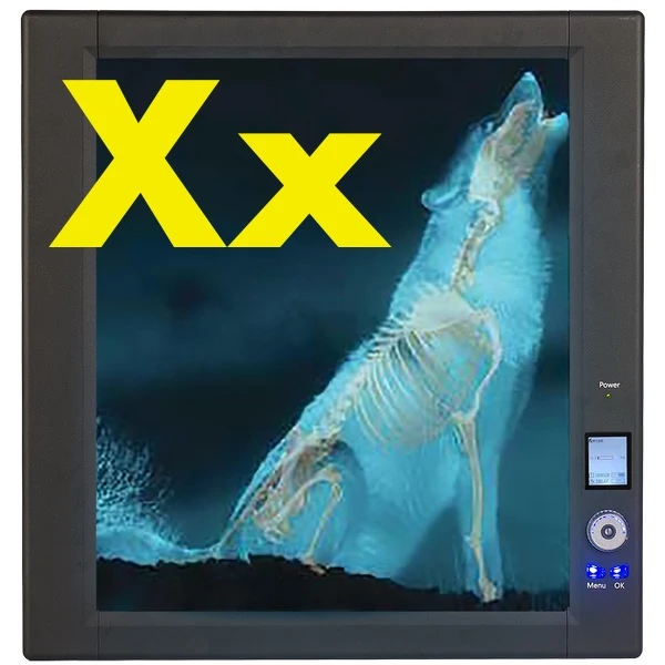 Animal Alphabet 118 (EmmettLovesAnimals Version) | Alphabet Wiki | Fandom