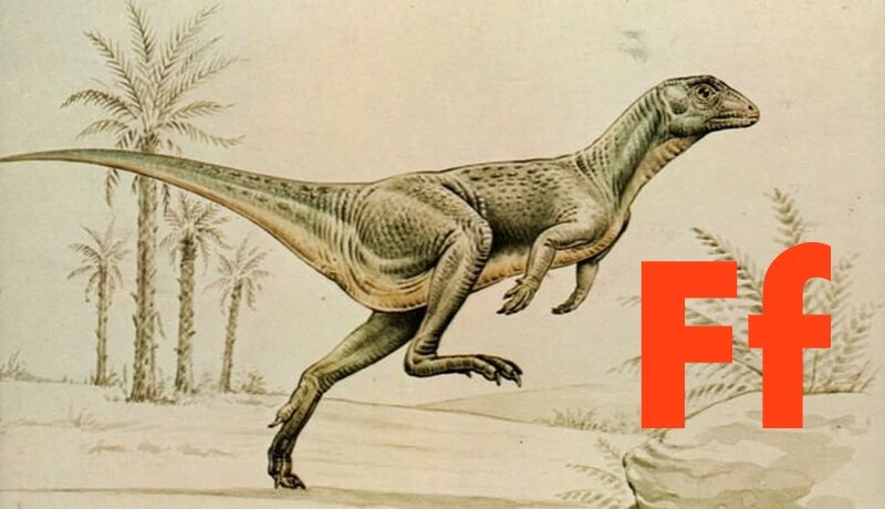 Alphabetimals 14 | Alphabet Wiki | Fandom