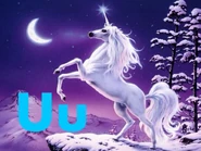 Starfall Animal Alphabet | Alphabet Wiki | Fandom
