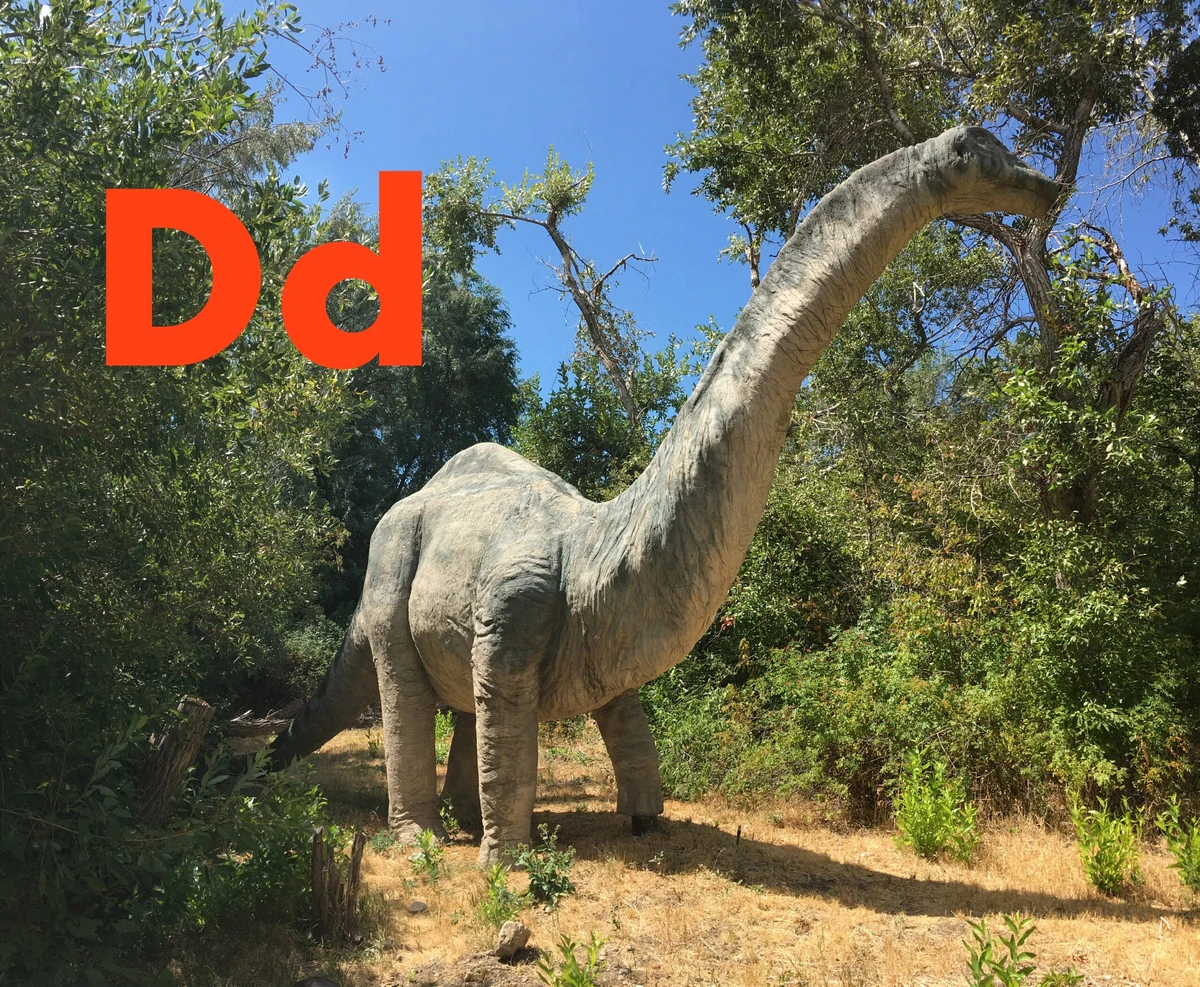 Backpack Bear’s ABC Animals | Alphabet Wiki | Fandom