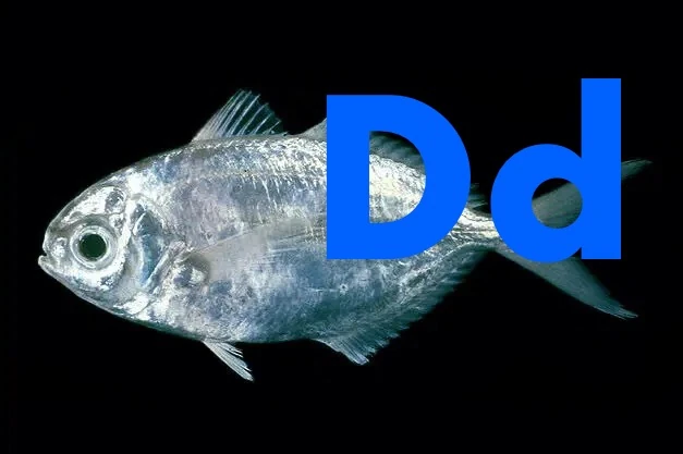 Category:ThomasCarr0806 Animal Alphabets | Alphabet Wiki | Fandom