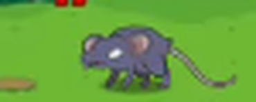 Rat x Flamingo | Alphabetimals Wiki | Fandom