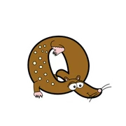 Quoll | Alphabetimals Wiki | Fandom