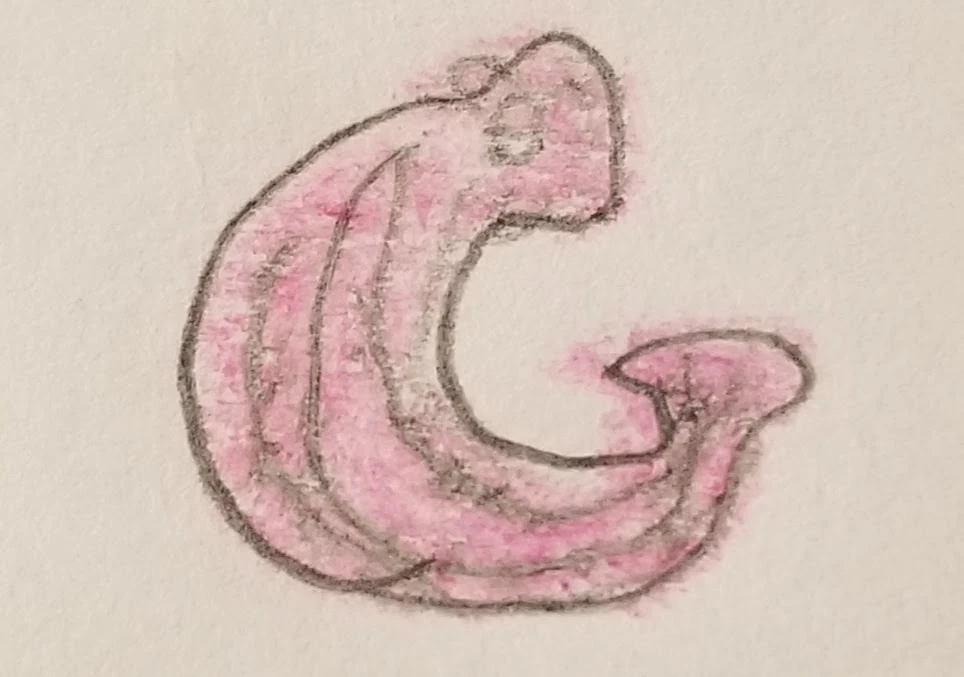 Giant Pacific Octopus | Alphabetimals Wiki | Fandom