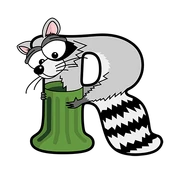 Raccoon | Alphabetimals Wiki | Fandom