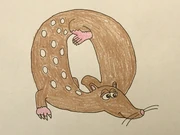 Wikipedia Animal Alphabet | Alphabetimals Wiki | Fandom