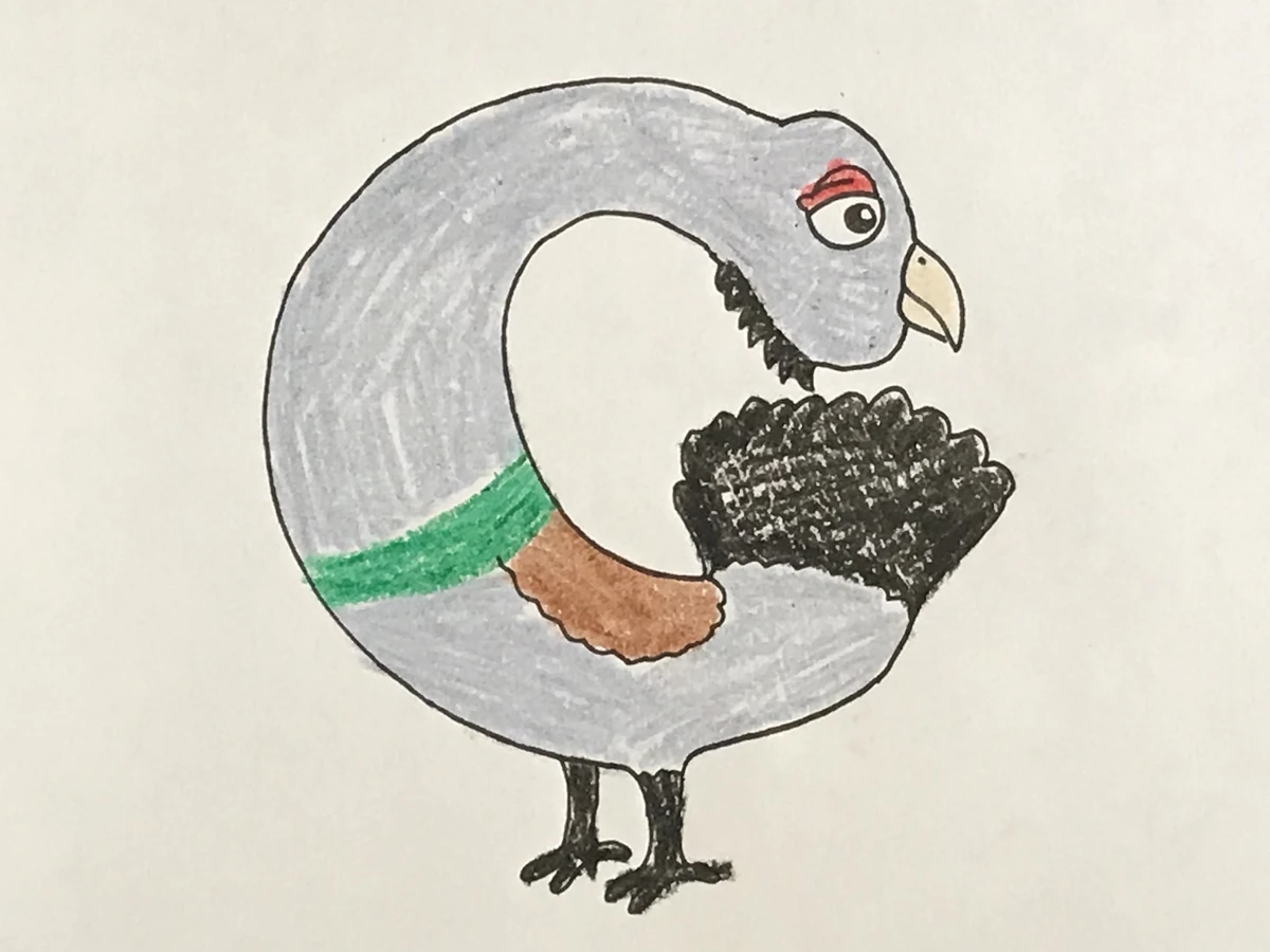 Birds A-Z | Alphabetimals Wiki | Fandom