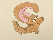 Sumatran Striped Rabbit | Alphabetimals Wiki | Fandom