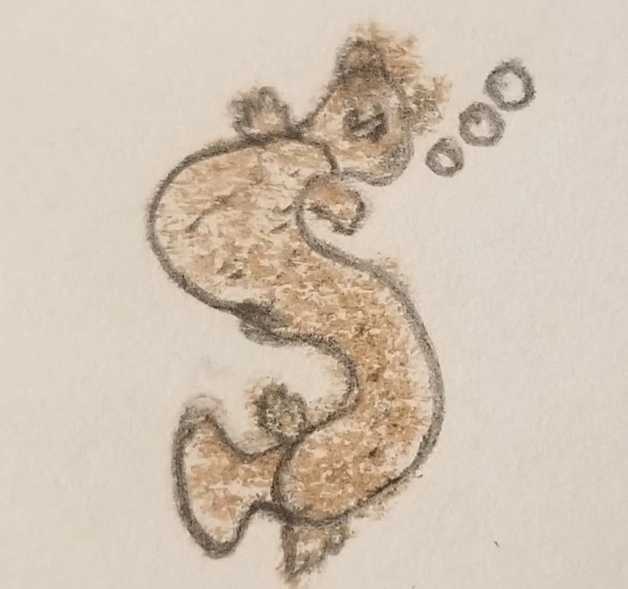 Softshell Turtle | Alphabetimals Wiki | Fandom