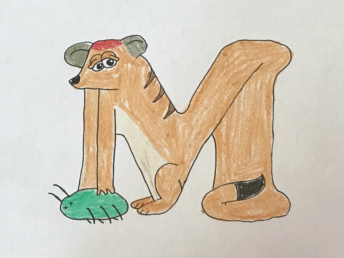 Animal Alphabet 125 | Alphabetimals Wiki | Fandom