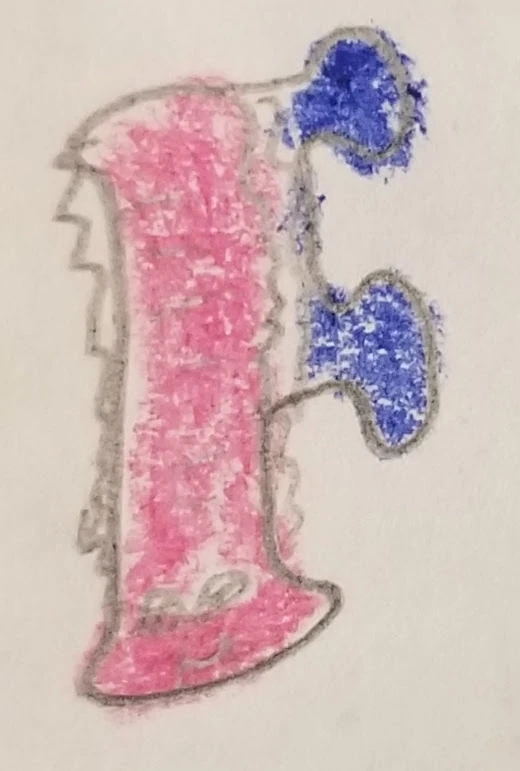 Fireworm | Alphabetimals Wiki | Fandom