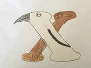 Xinjiang Ground Jay | Alphabetimals Wiki | Fandom