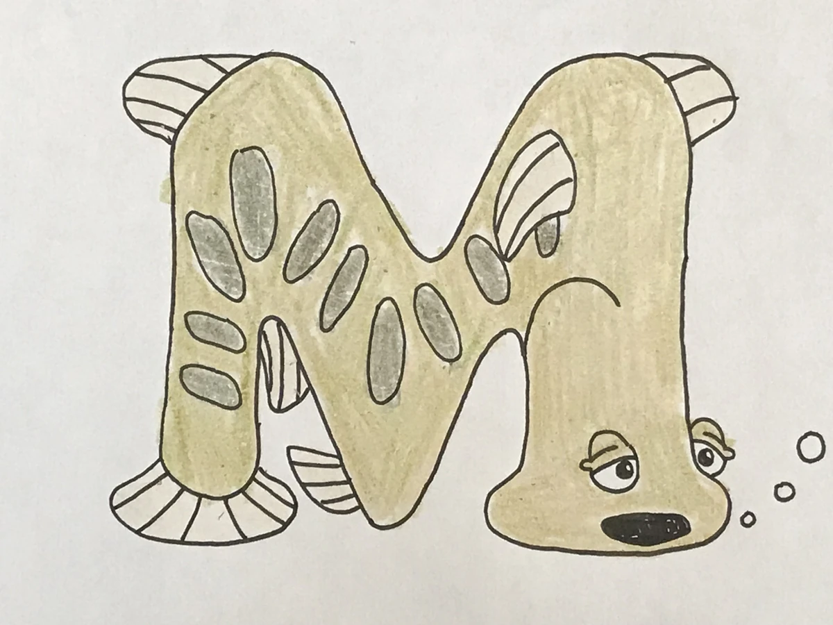 Animal Alphabet 122 | Alphabetimals Wiki | Fandom