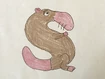 Animals that start with Sh | Alphabetimals Wiki | Fandom