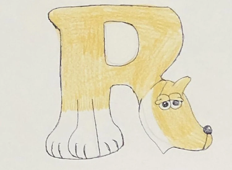 Rough Collie | Alphabetimals Wiki | Fandom