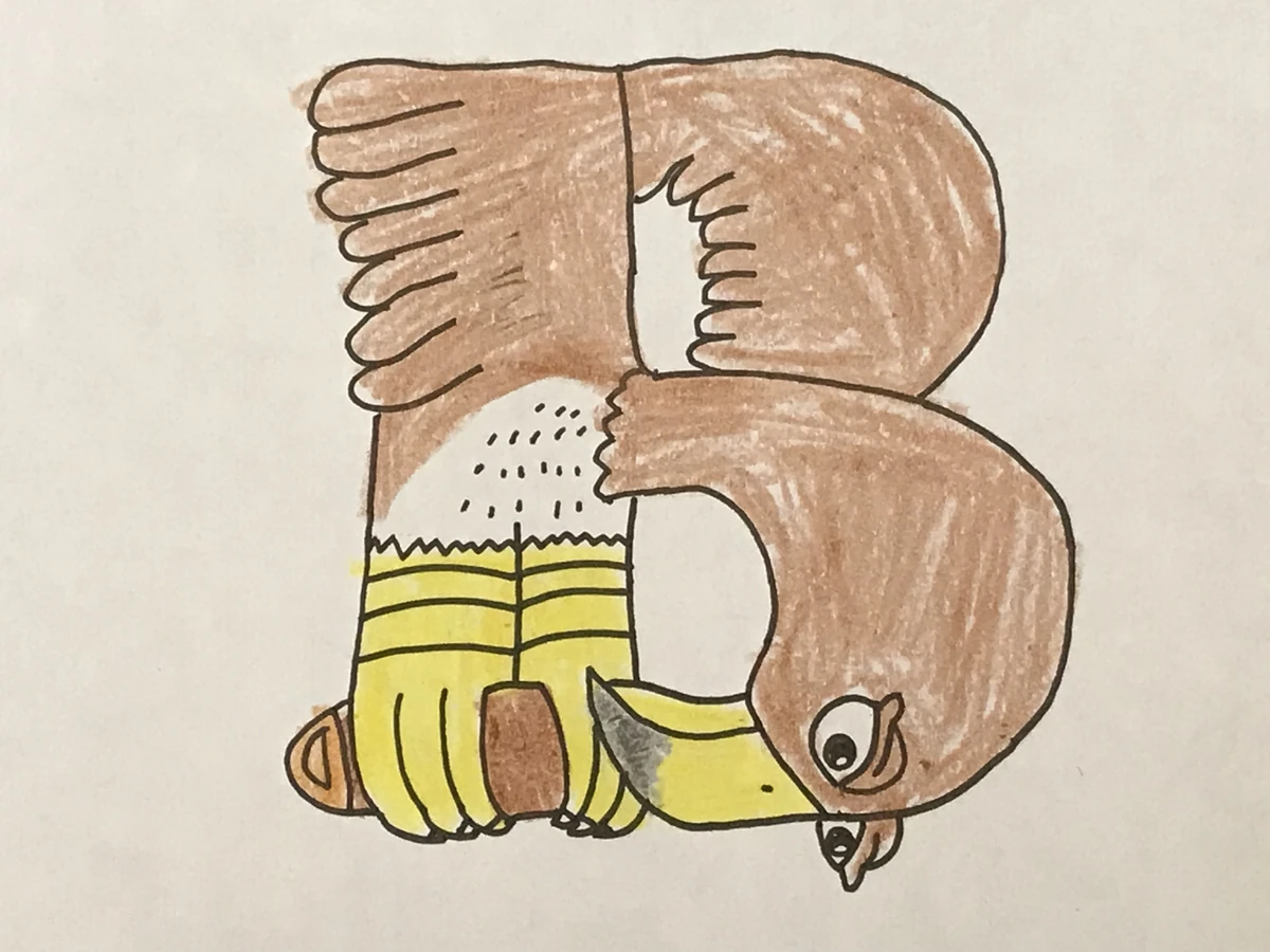 Birds A-Z | Alphabetimals Wiki | Fandom