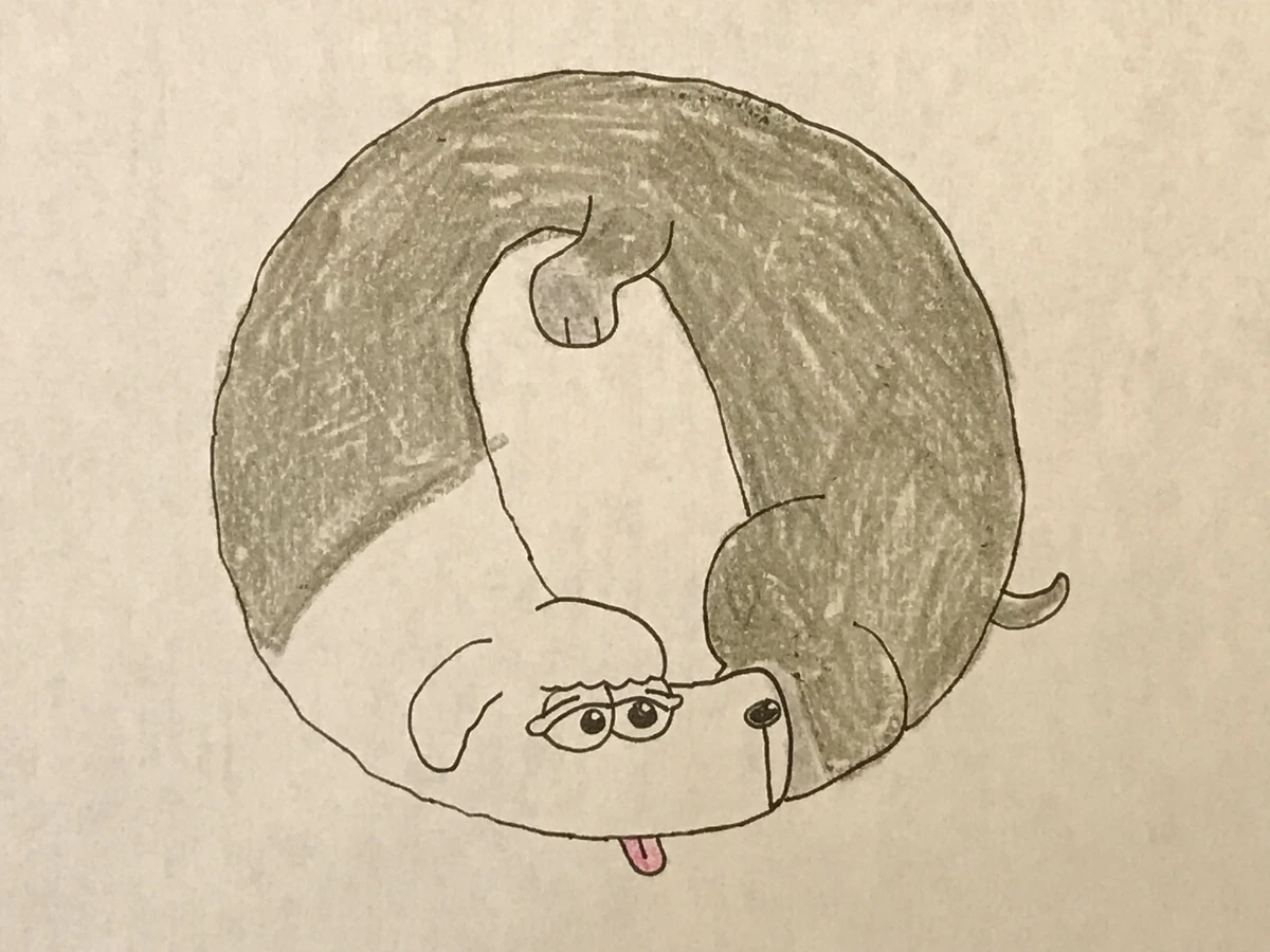 Old English Sheepdog | Alphabetimals Wiki | Fandom