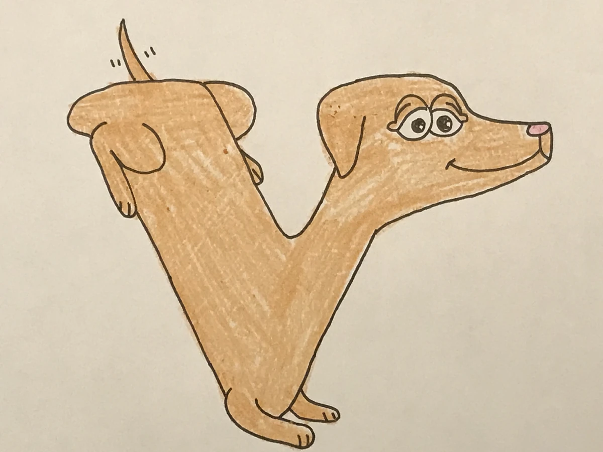 Pets A-Z | Alphabetimals Wiki | Fandom