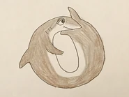 Sharks and Rays A-Z | Alphabetimals Wiki | Fandom