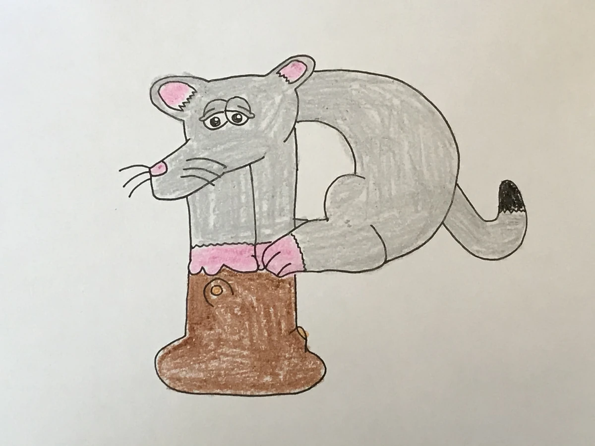 Possum | Alphabetimals Wiki | Fandom