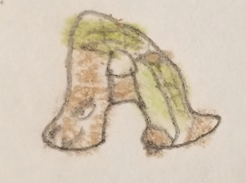 Alligator Snapping Turtle | Alphabetimals Wiki | Fandom