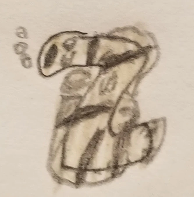 Zebra Sole | Alphabetimals Wiki | Fandom