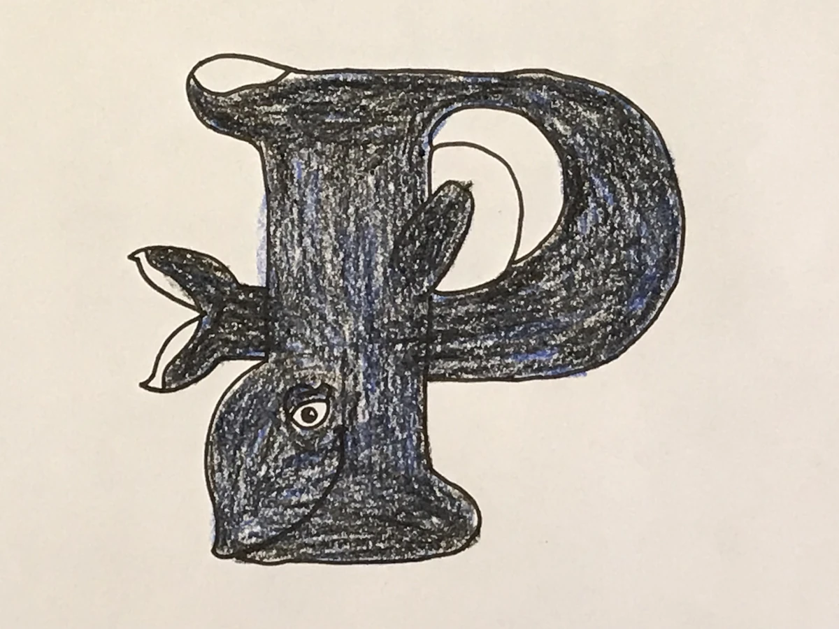 Porpoise | Alphabetimals Wiki | Fandom