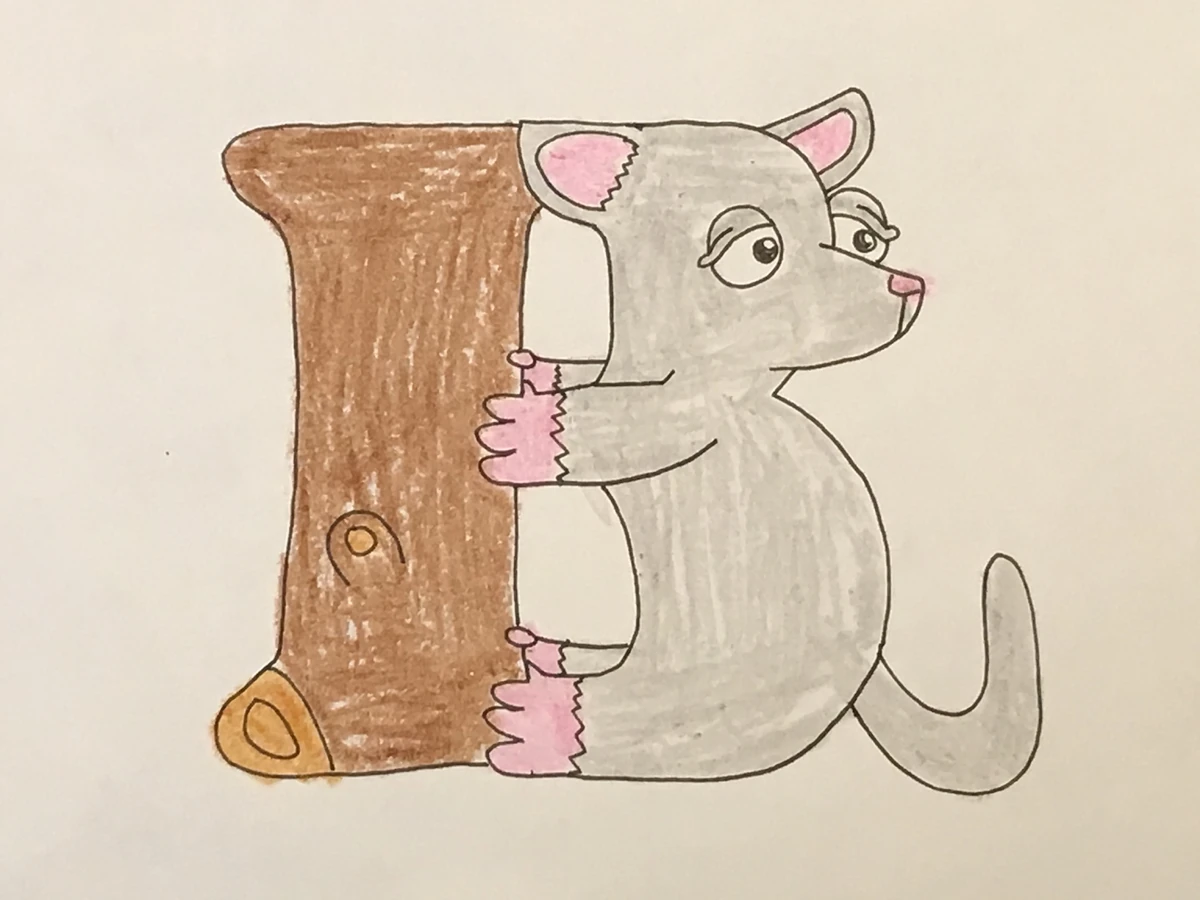 Alphabet Rainforest Animals | Alphabetimals Wiki | Fandom