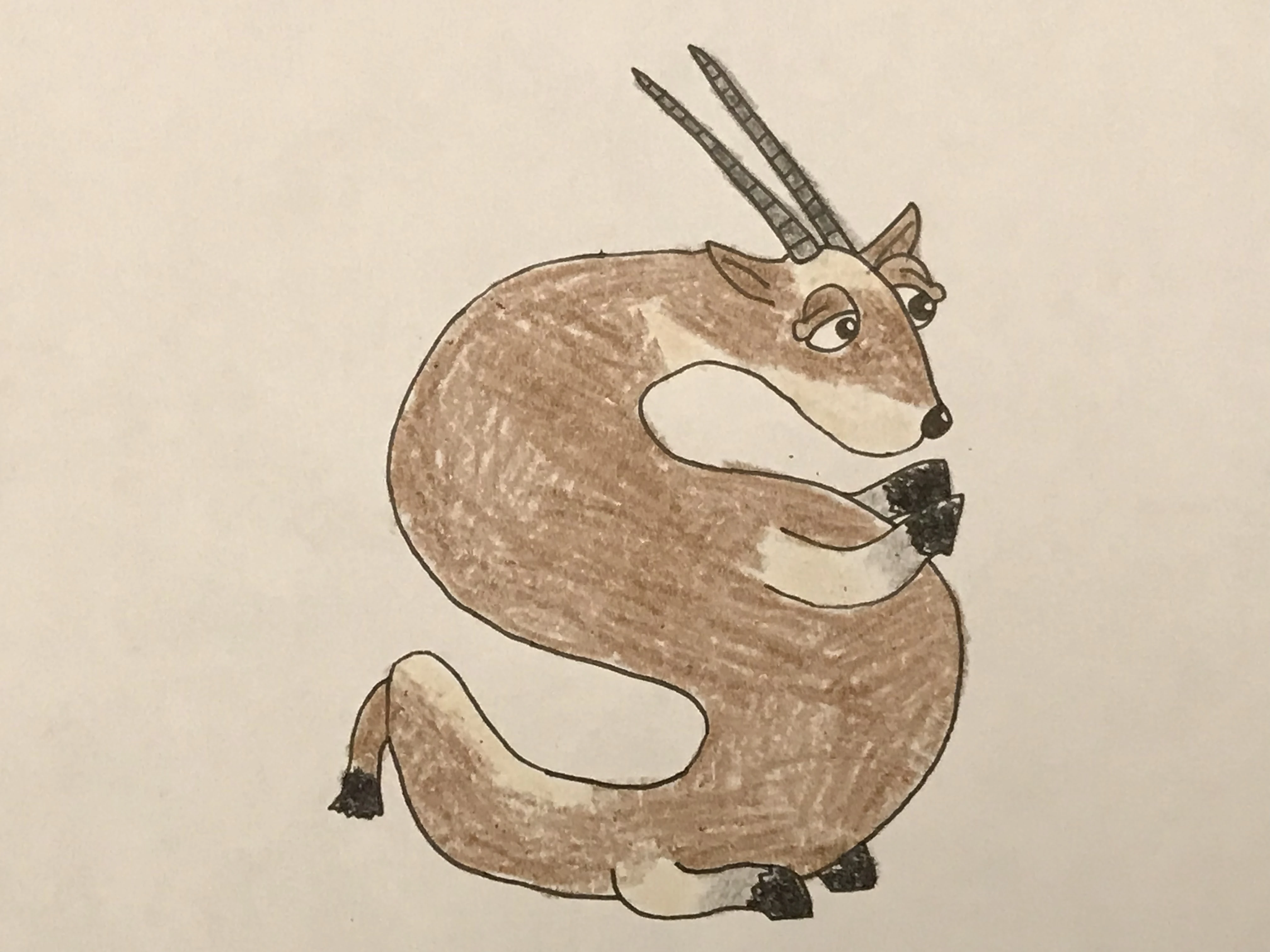 Saola Drawing