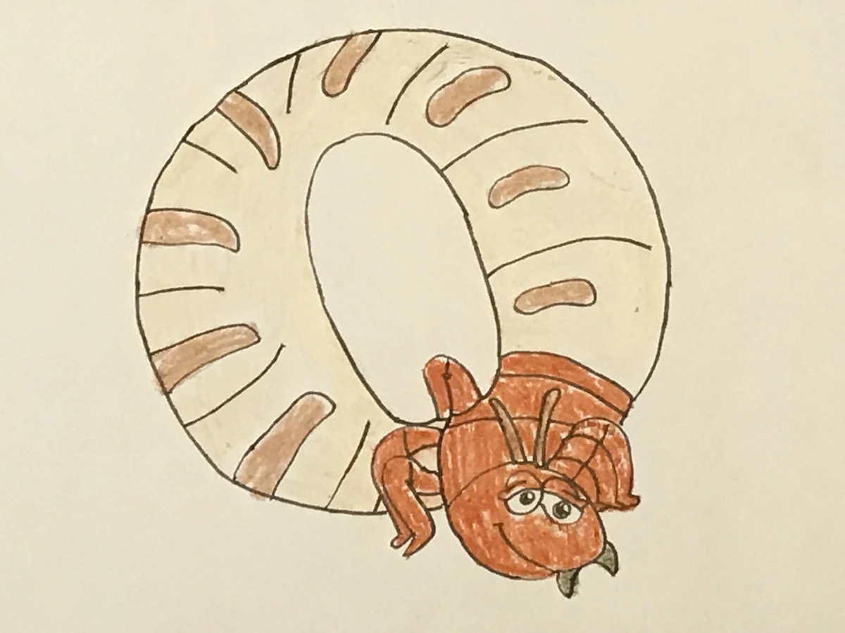 Queen Termite | Alphabetimals Wiki | Fandom