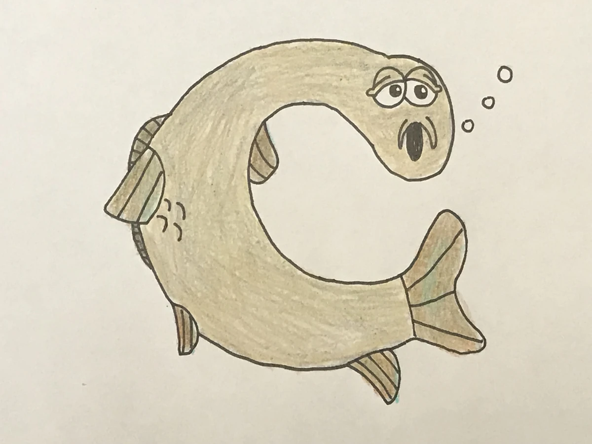 Fish A-Z | Alphabetimals Wiki | Fandom