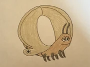 Owl Butterfly | Alphabetimals Wiki | Fandom