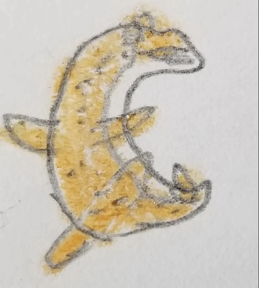 Coral Reef | Alphabetimals Wiki | Fandom