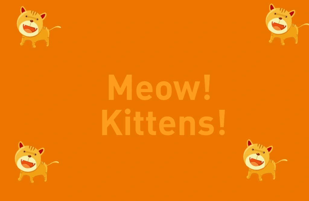 Meow! Kittens! | Alphabuddies Wiki | Fandom