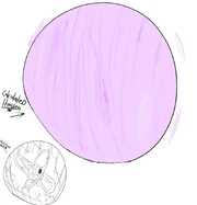 Null/Code!Gaster | Alphatale Wiki | Fandom