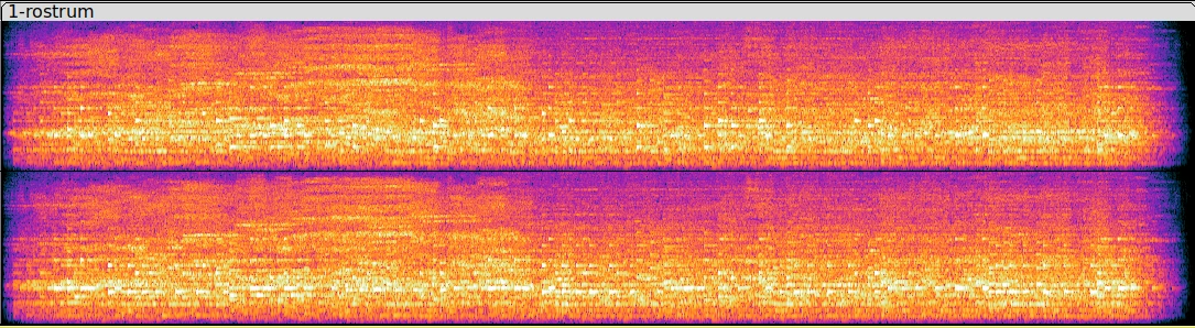 OST | AlphaVer Wiki | Fandom