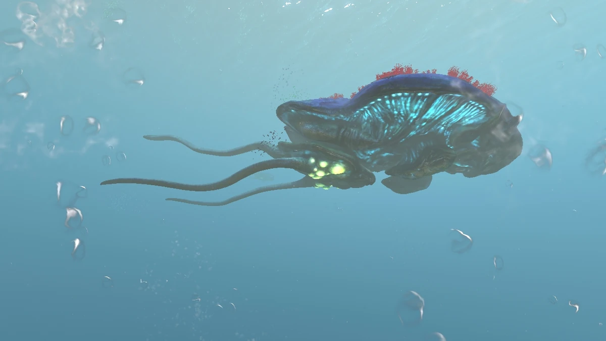 Reefback | AlpheaPedia Wiki | Fandom