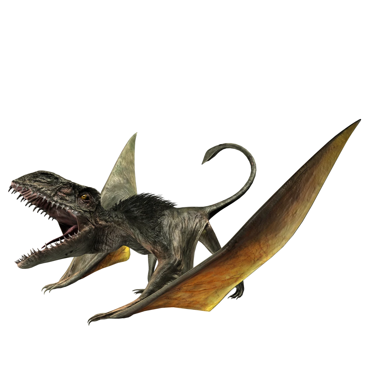 Dimorphodon | AlpheaPedia Wiki | Fandom