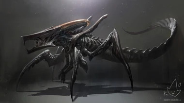 Arachnomorph | AlpheaPedia Wiki | Fandom