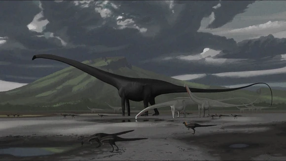 Barosaurus | AlpheaPedia Wiki | Fandom